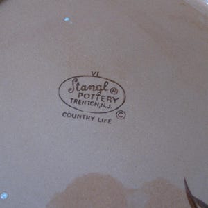 Rare Stangl Country Life Vintage Farmers Wife 10 Dinner Plate - Etsy