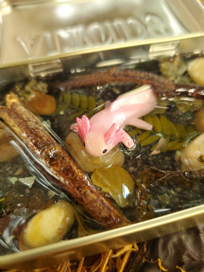 Lonely Fella Miniature Resin Axolotl Fish Pond in Mint Tin - Etsy