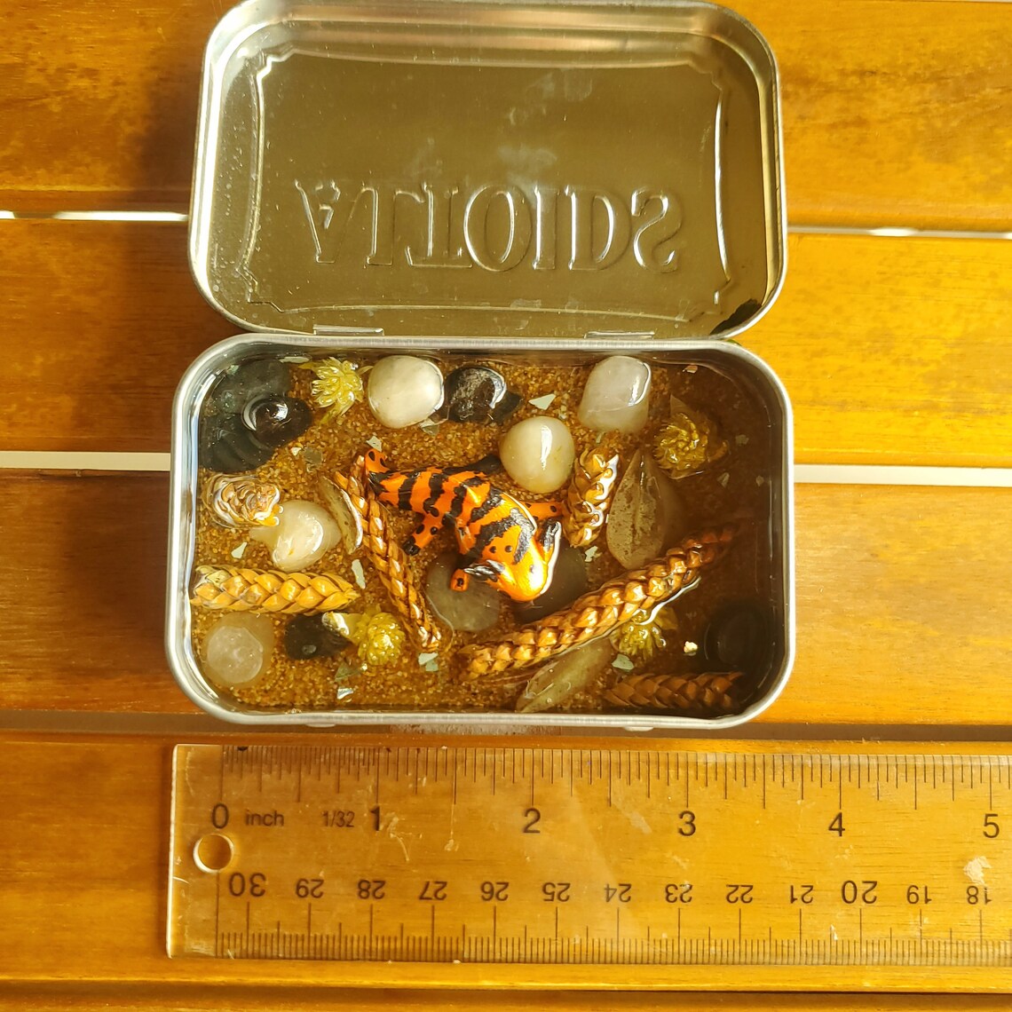 Eye of the Tiger- Miniature Resin Axolotl Fish Pond in Mint Tin - Etsy