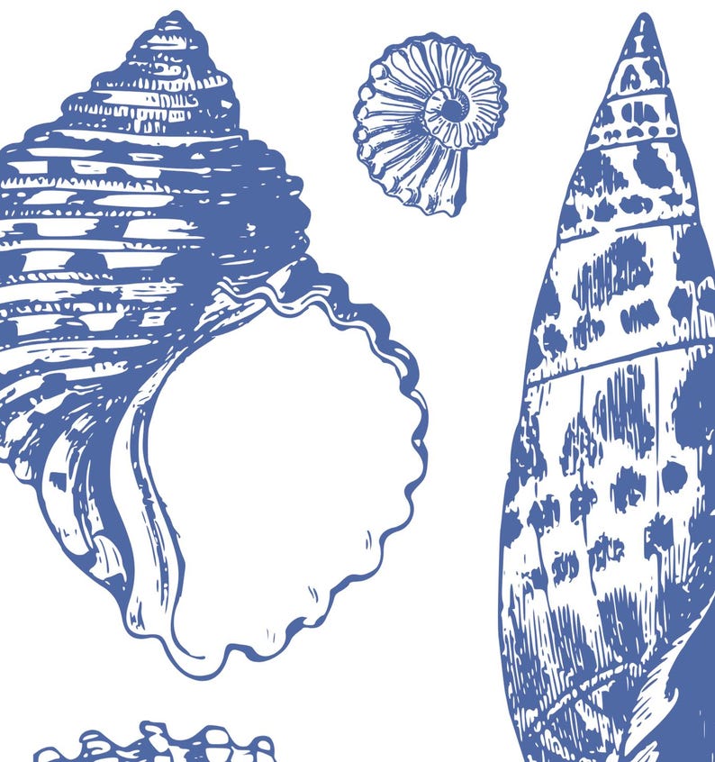 Cape Cod Seashell Wall Poster | Coastal Dorm Room Decor | Vintage Ocean ...