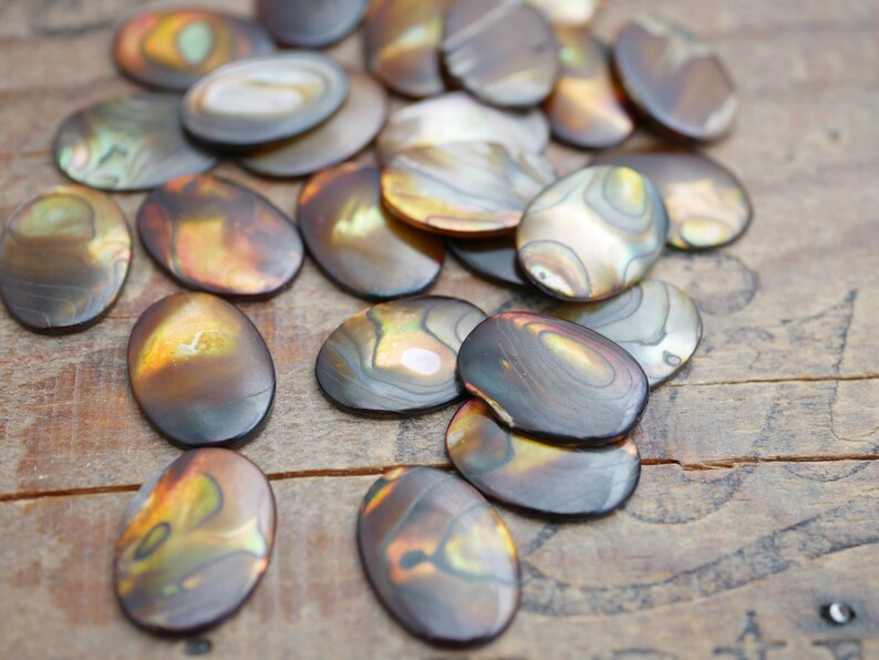 Brown Abalone Shell Cabochon 18x13mm Oval Shell Tawny Brown - Etsy