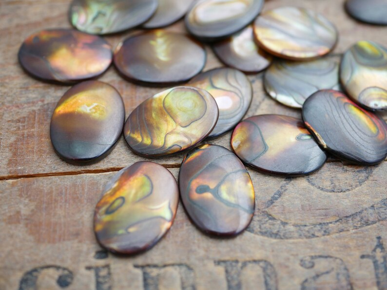Brown Abalone Shell Cabochon 18x13mm Oval Shell Tawny Brown - Etsy