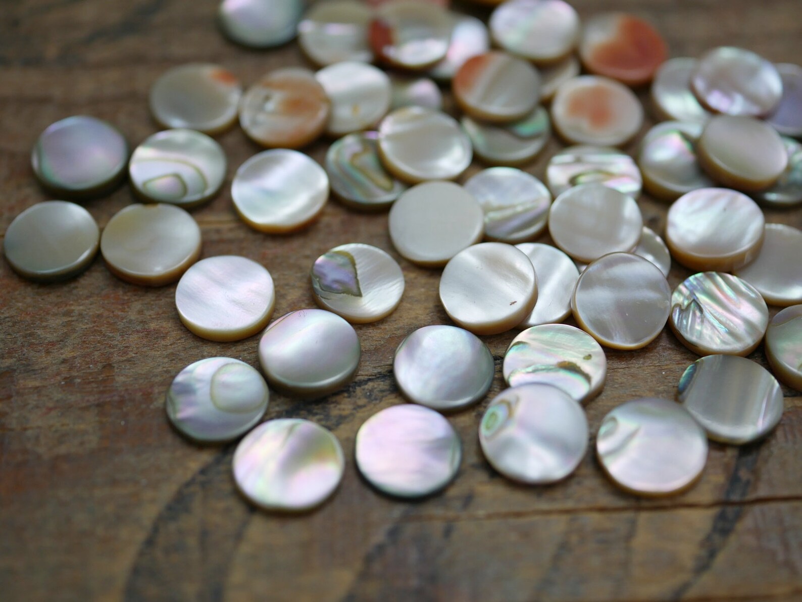 Vintage Abalone Shell Disc 9mm Flat Back Disc 2mm Thick 20 - Etsy