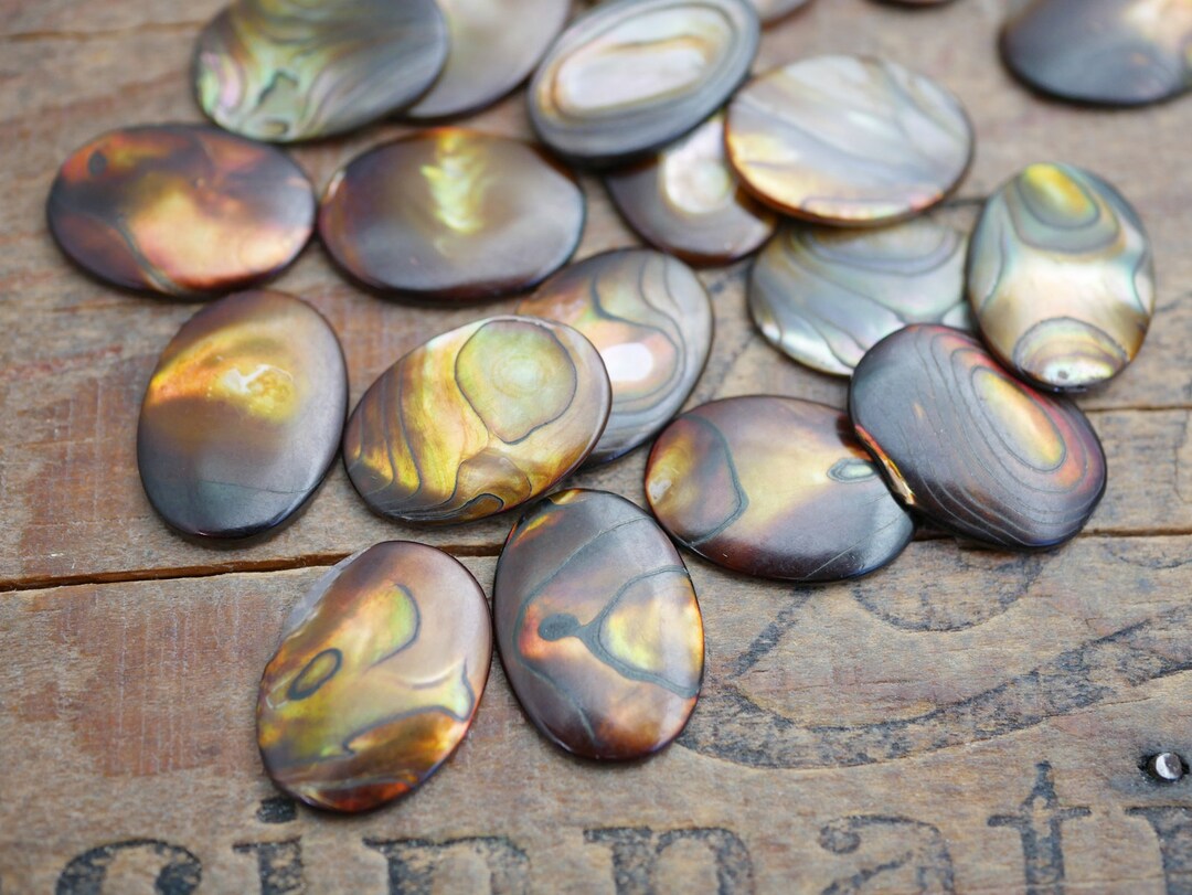 Brown Abalone Shell Cabochon 18x13mm Oval Shell Tawny Brown Color Shell ...