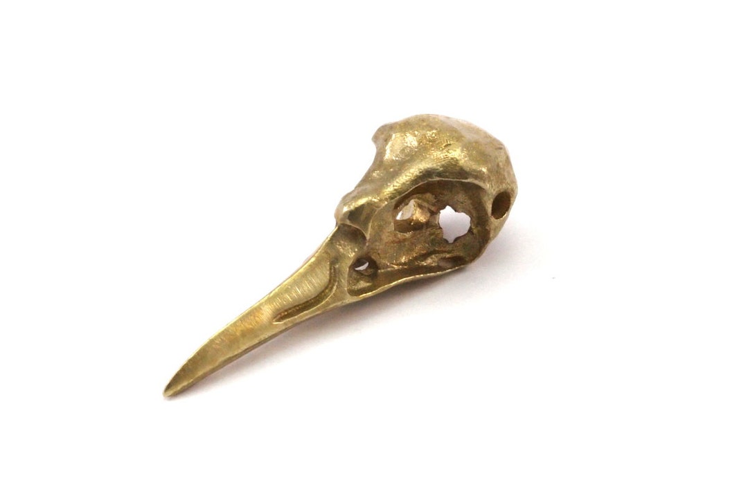 Bird Skull Charm, 2 Raw Brass Bird Skull Necklace Pendants, 32x11x10mm ...