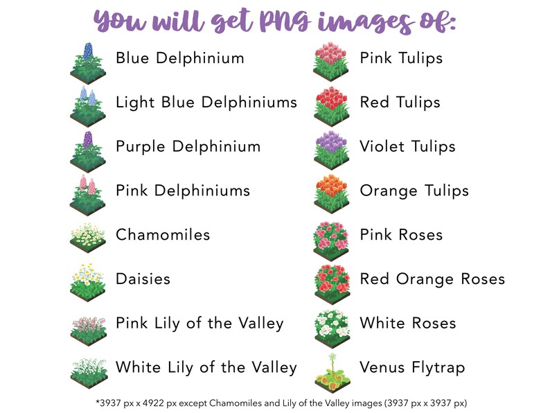 Isometric Flowers PNG Digital Download - Etsy