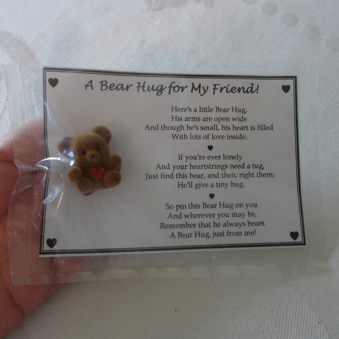 Vintage 3D Flocked Teddy Bear Pin & "a Bear Hug for My Friend" Poem ...