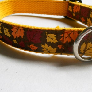 Fall Dog Collar - Autumn Leaves - Etsy