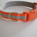 1 Wide Reflective Dog Collar, 3M Reflective Ribbon, Orange Collar - Etsy