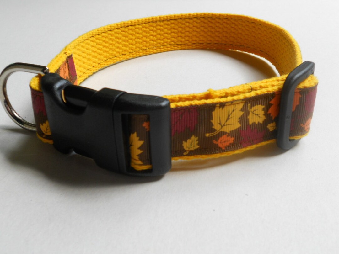 Fall Dog Collar - Autumn Leaves - Etsy