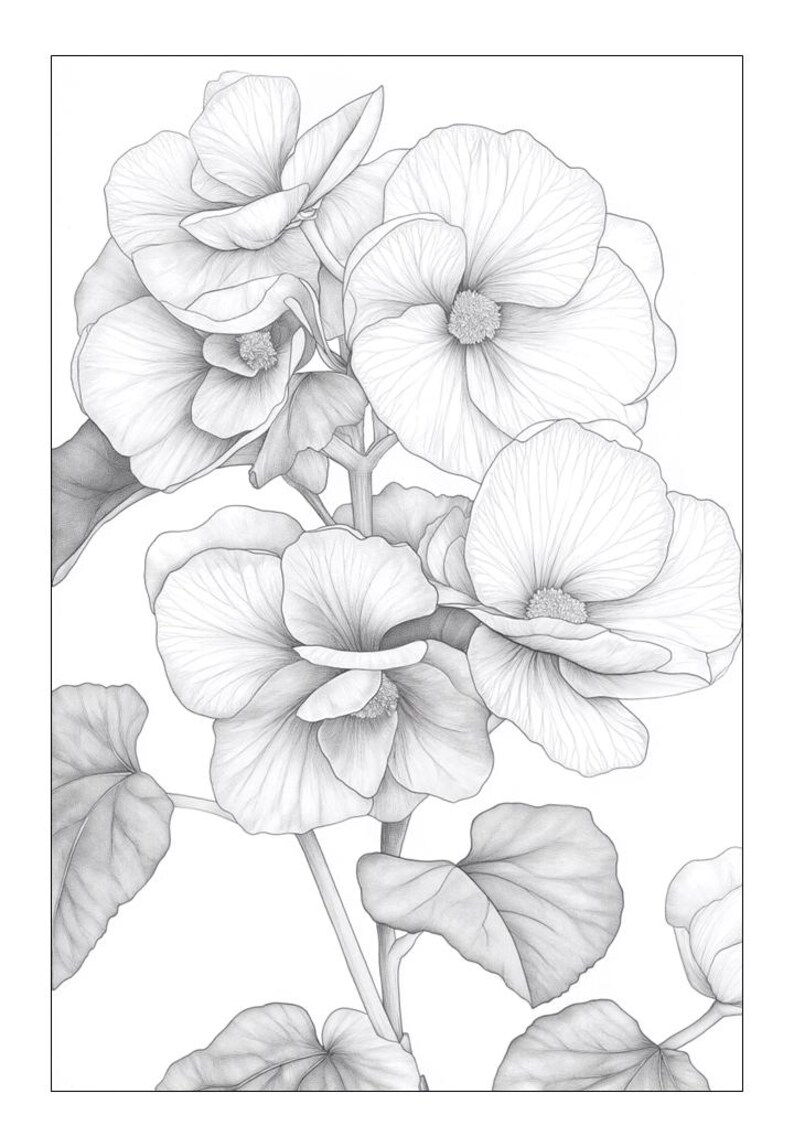 26 Printable Flower Colouring Pages in Pdf Format. There Are Two Files ...