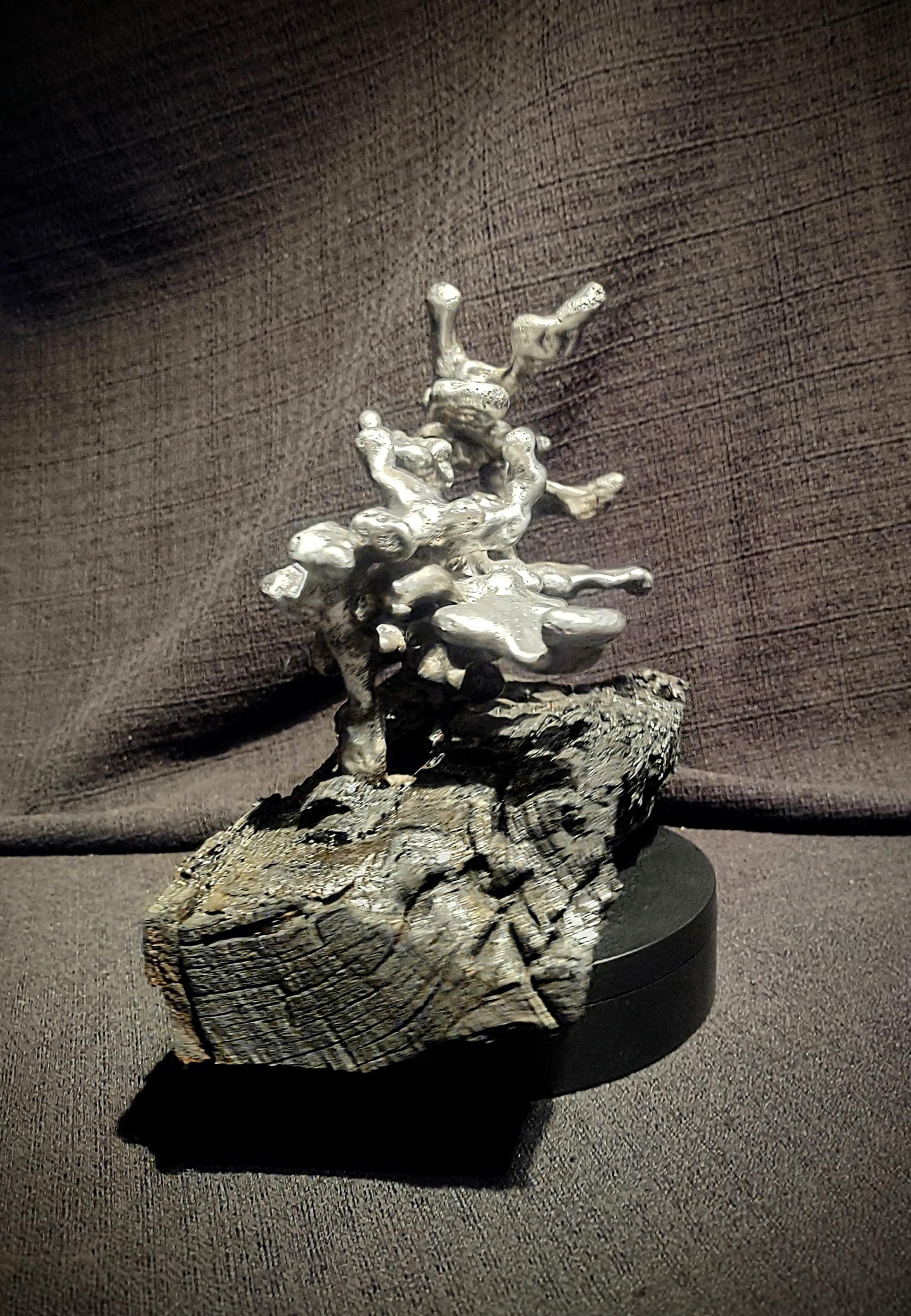 Dragon... Aluminum Fire Ant Art Sculpture - Etsy