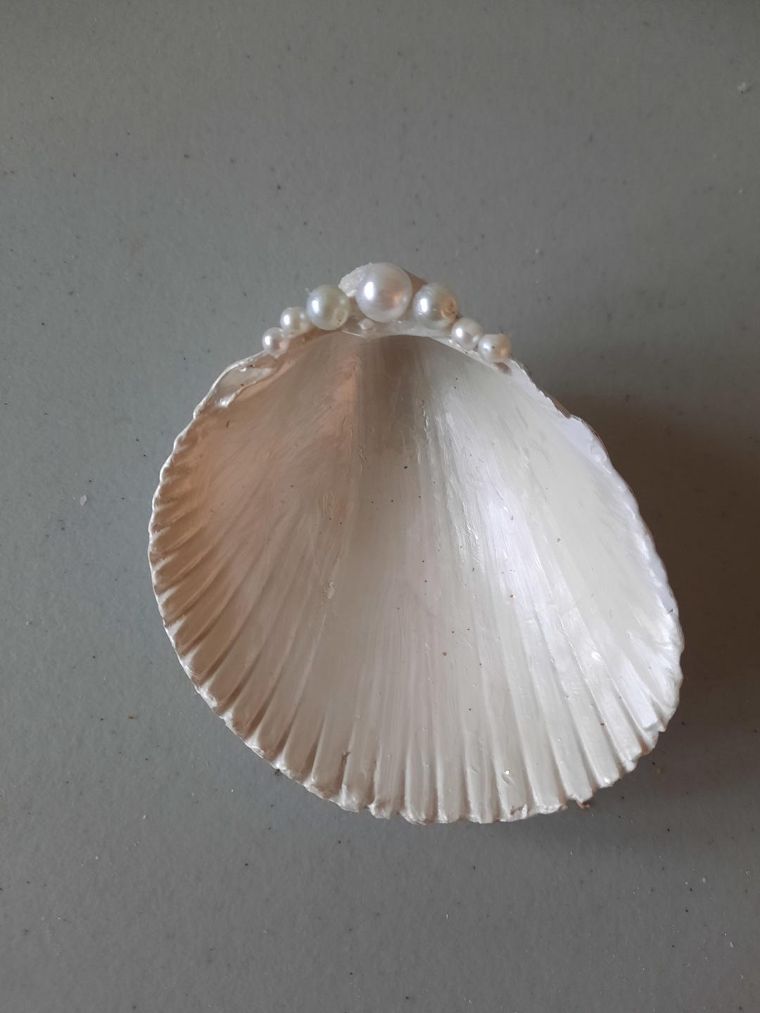 Bejeweled Scallop Shell Trinket Holder-free Shipping! - Etsy