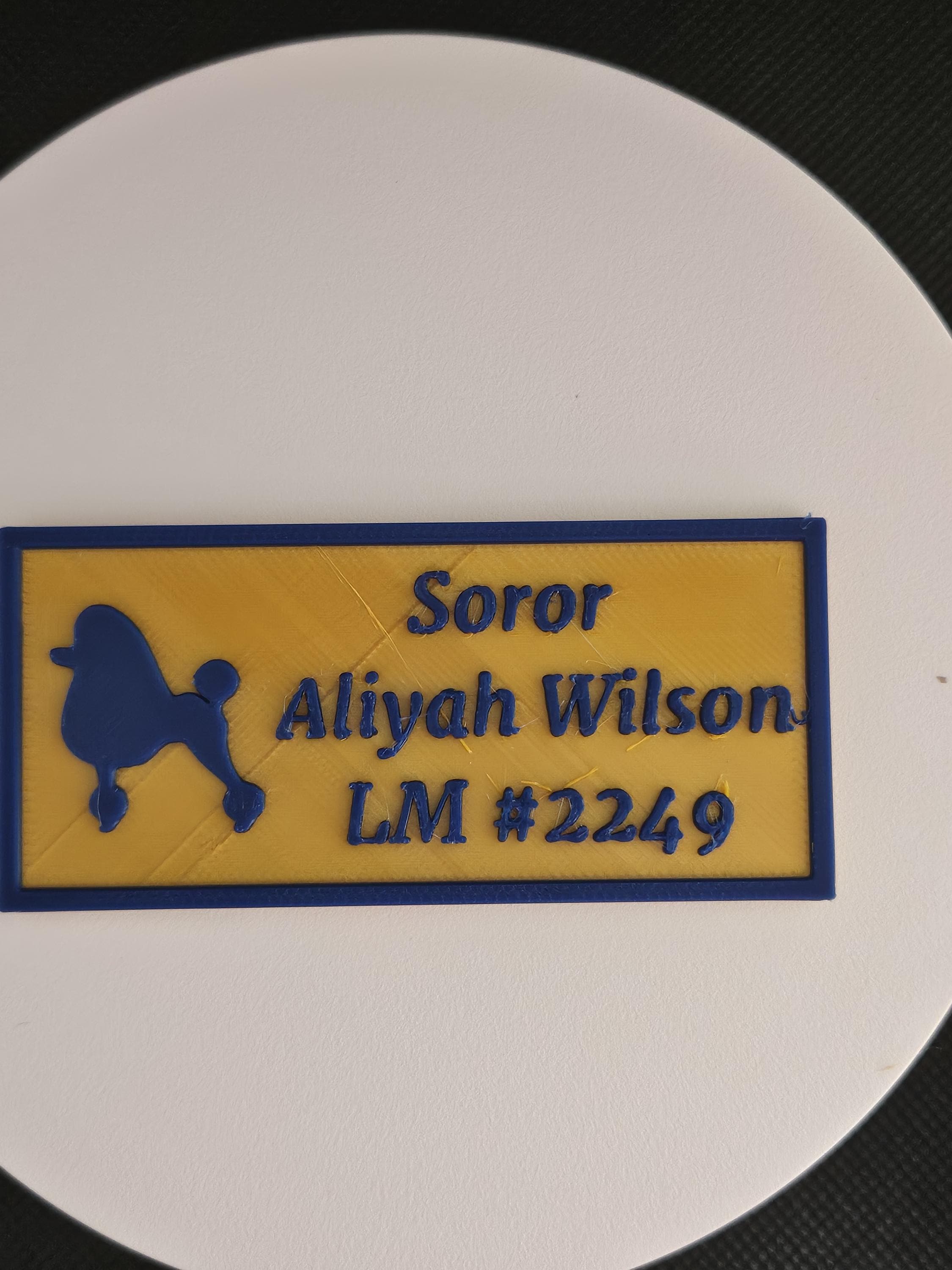 Personalized Name Badge: 3D Printed Sorority Fraternity Badge - Etsy