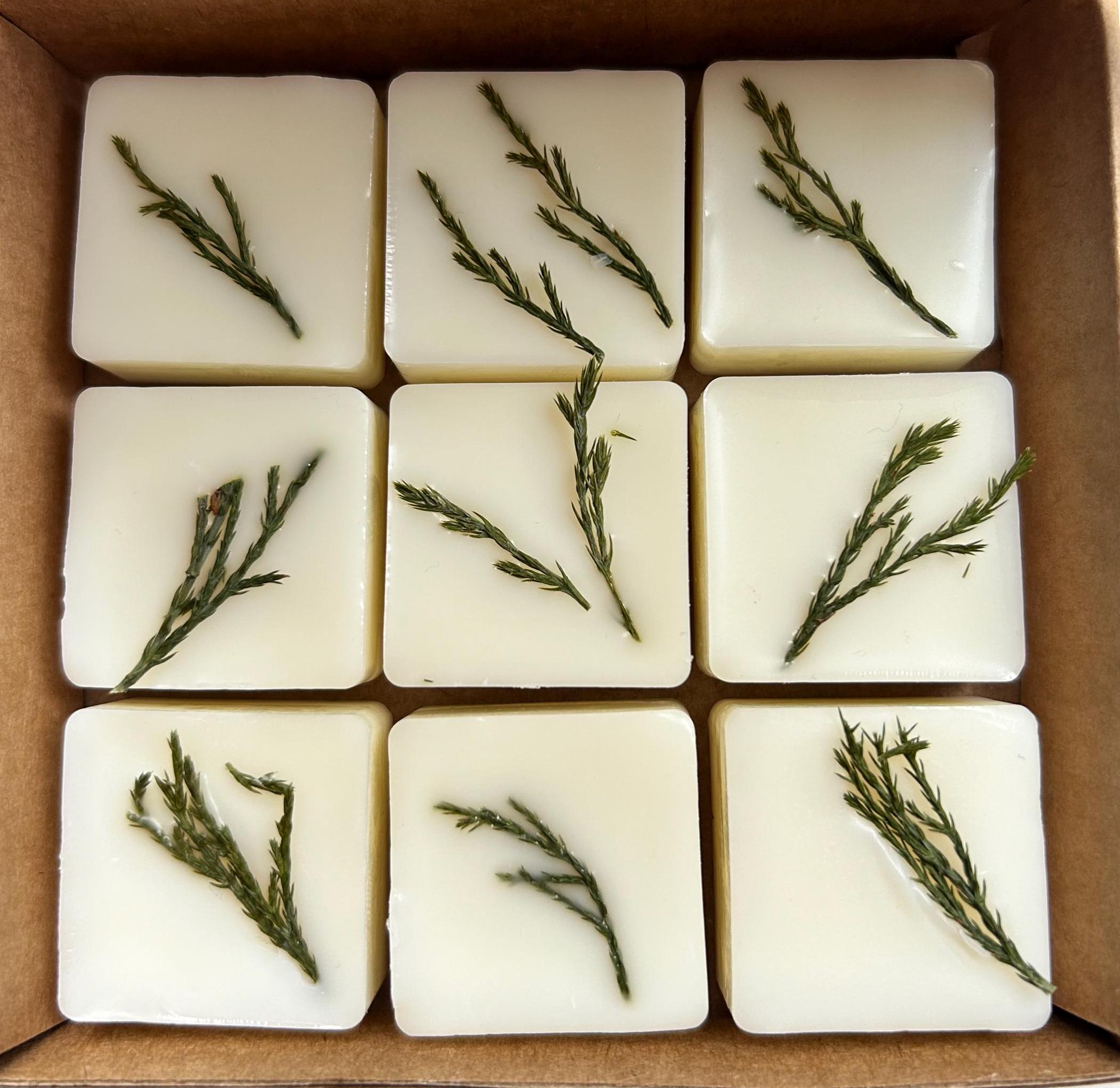 Fir Needle Aromatherapy Wax Melts - Etsy UK