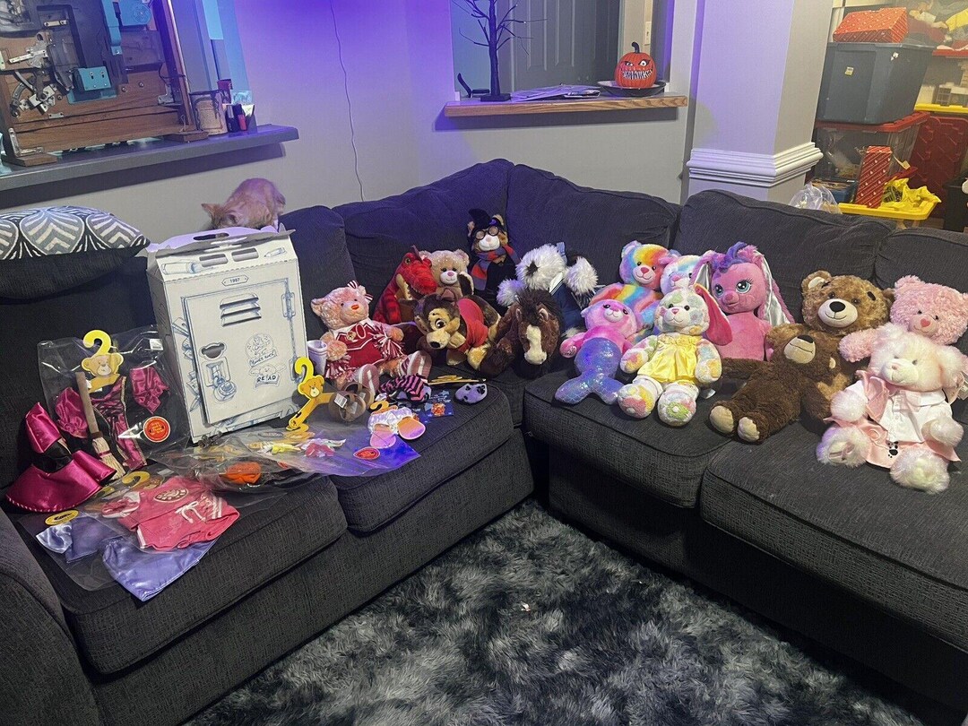 Early 2000s to Modern Build-a-bear Lot of 16 Plush Rare Outfits ...