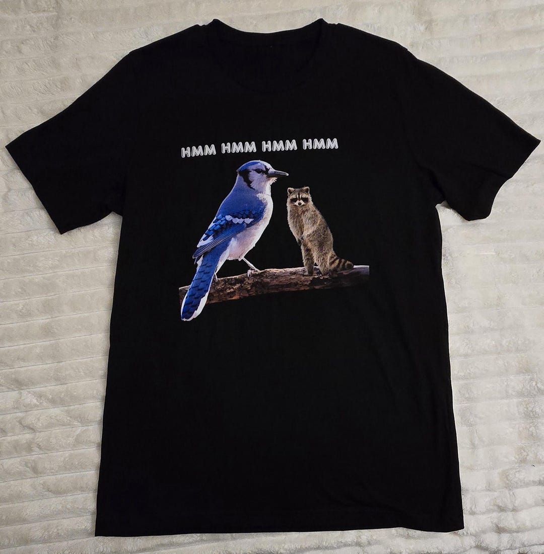 Regular Show T-shirt, Mordecai and Rigby, Great Gift for Regular Show ...