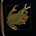 Tree Frog Machine Embroidery Design PES Format Download - Etsy