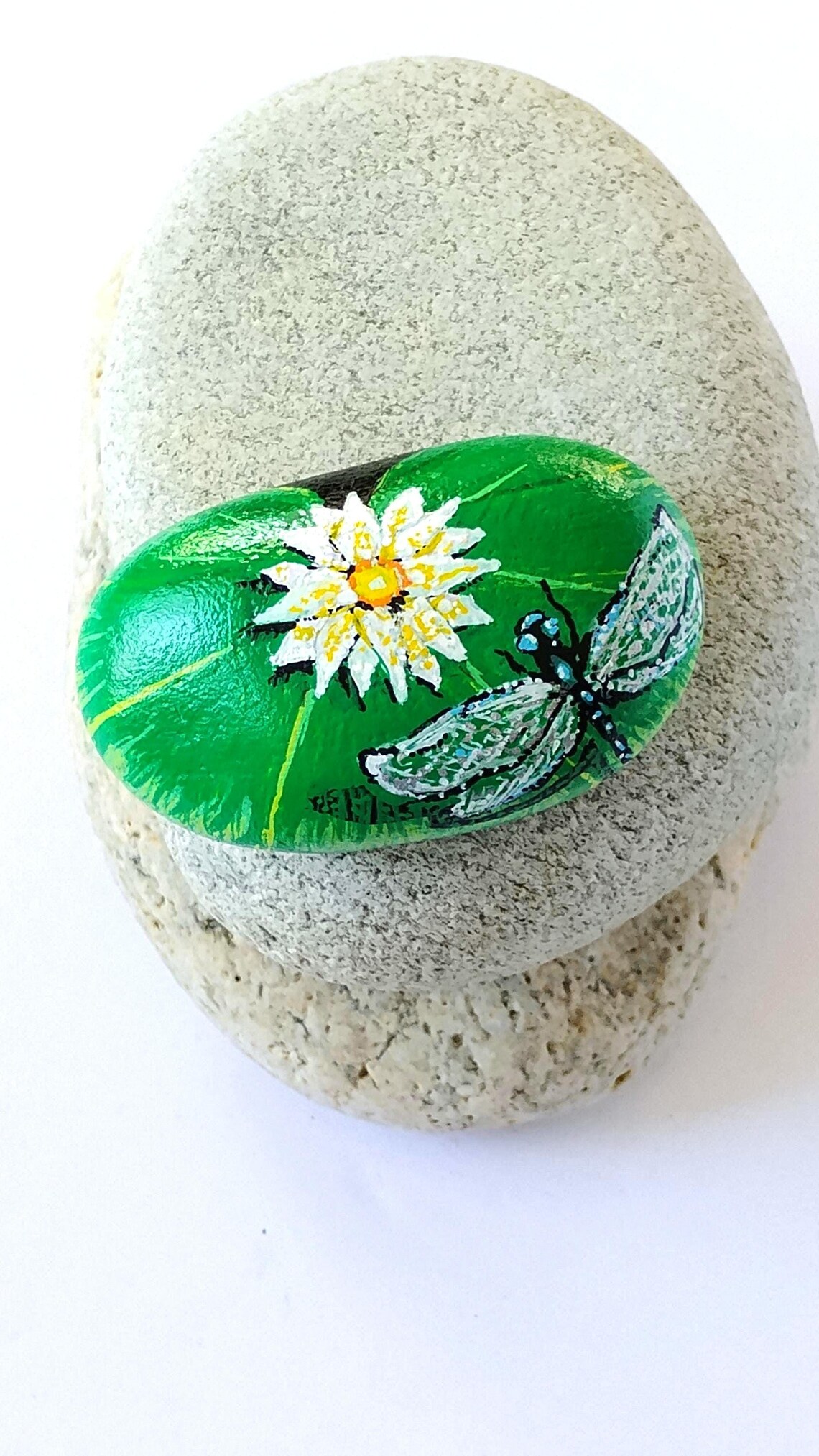 Dragonfly on Lily Pad Hand Painted Rock, Pond Lily Painted Rock, Pond ...