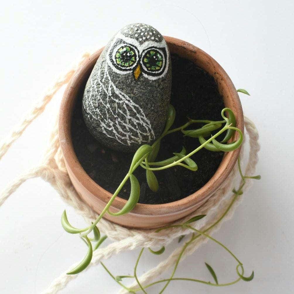 Owl Hand Painted Rock, Bird Pet Rock, Owl Garden Rock, Spirit Animal ...