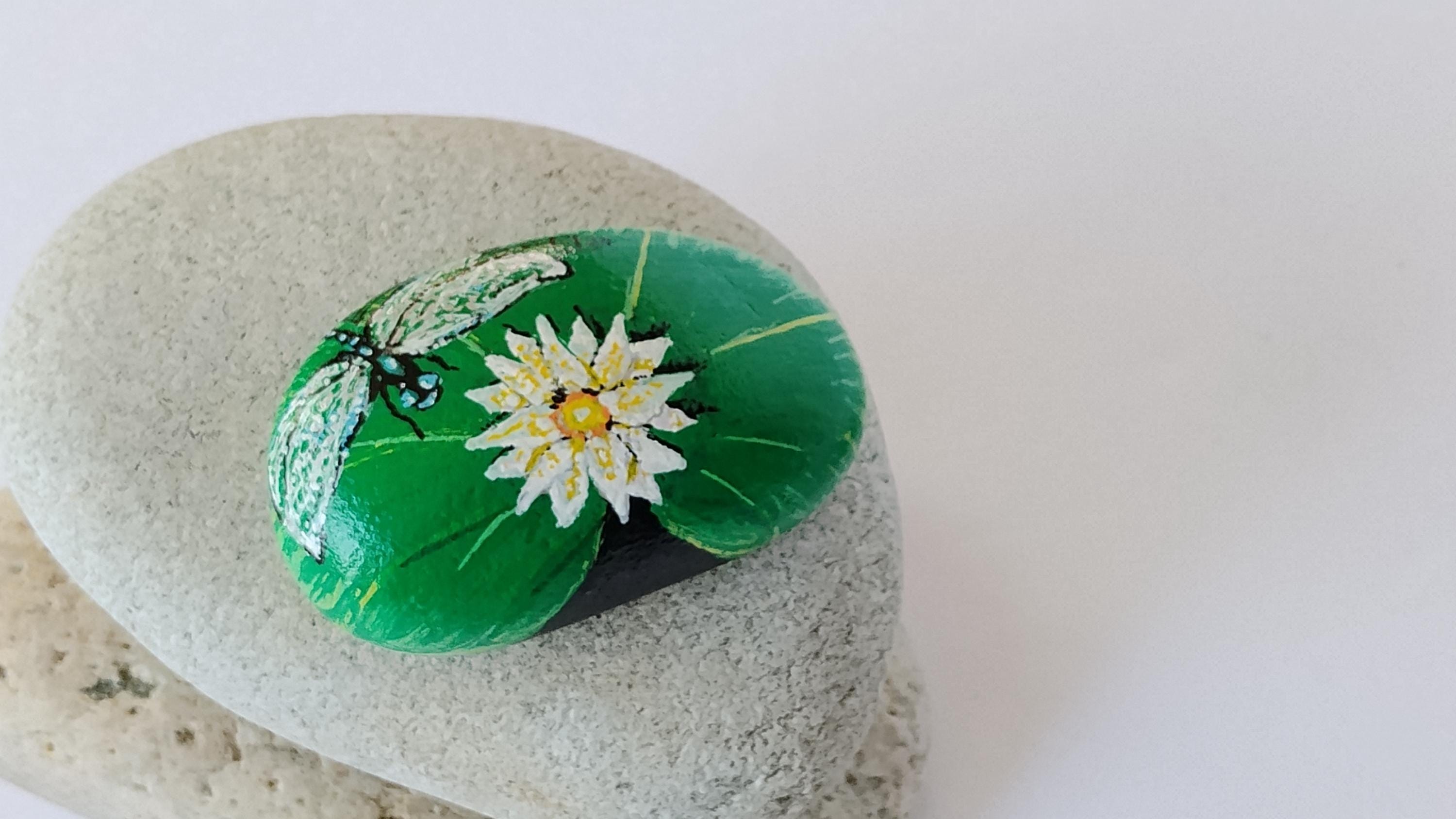 Dragonfly on Lily Pad Hand Painted Rock, Pond Lily Painted Rock, Pond ...