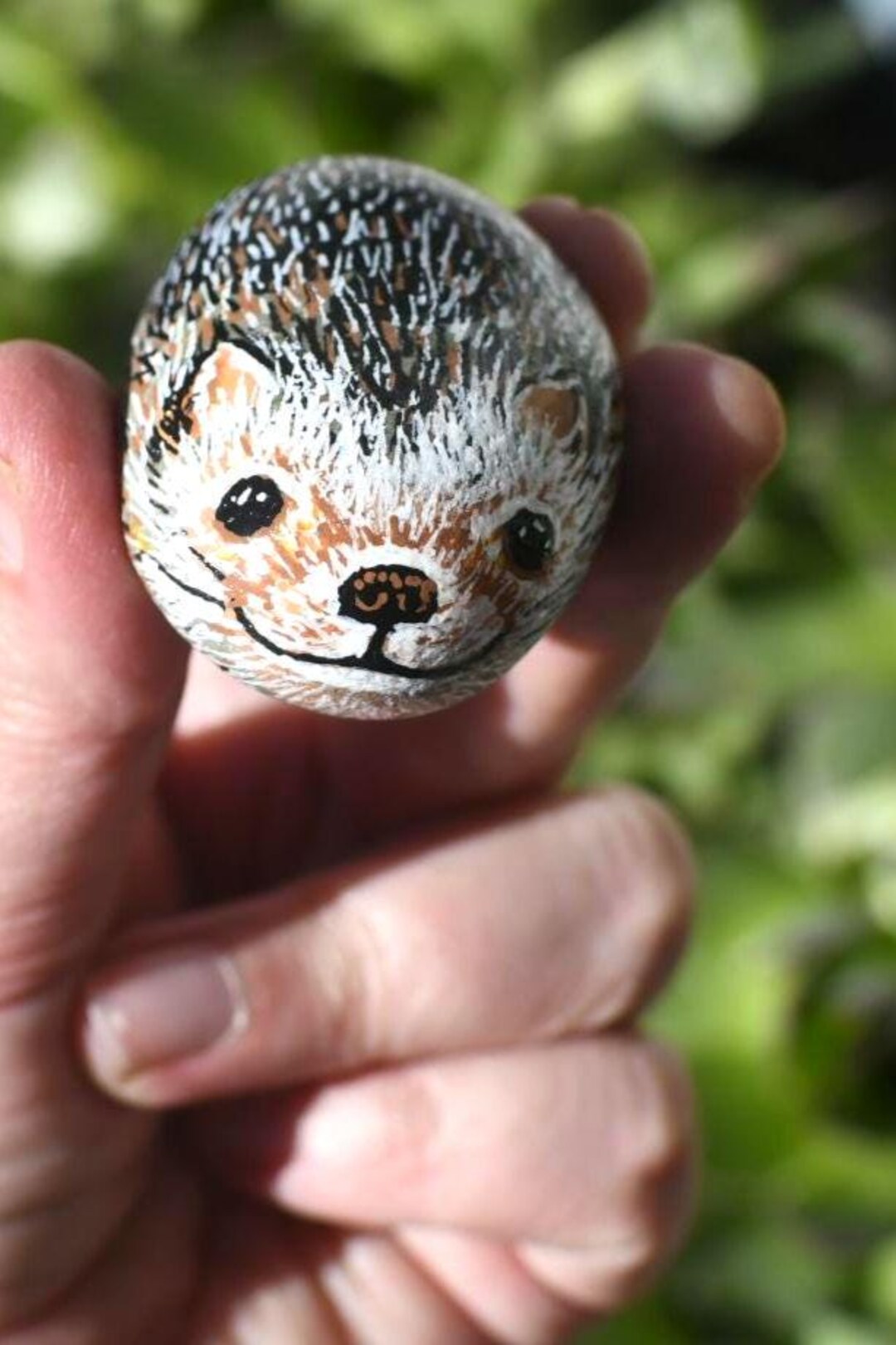Hedgehog Hand Painted Rock, Hedgehog Pet Rock, Hedgehog Garden Rock ...