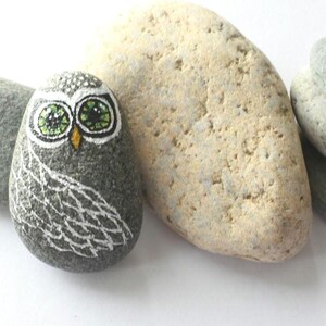 Owl Hand Painted Rock, Bird Pet Rock, Owl Garden Rock, Spirit Animal ...