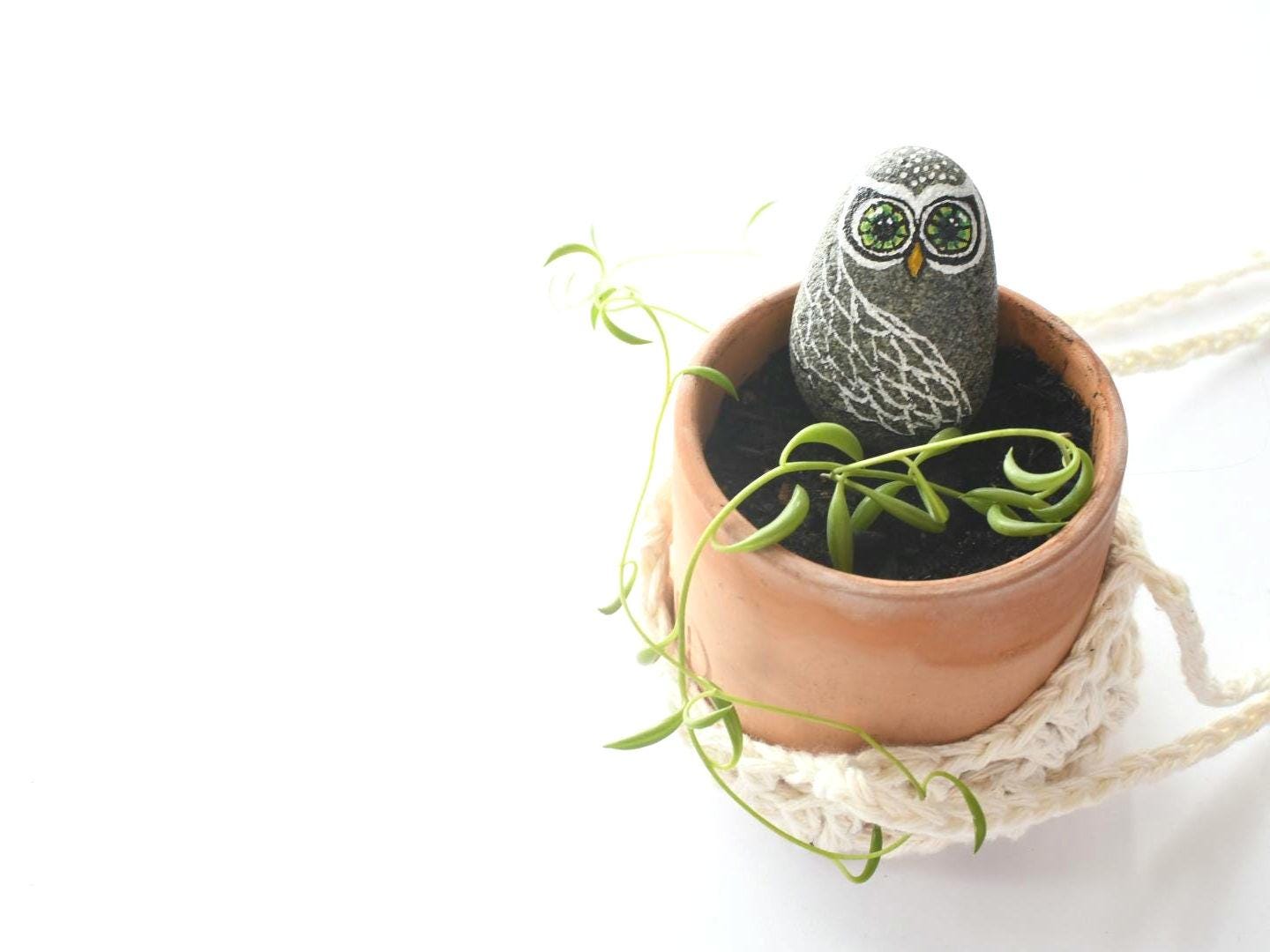 Owl Hand Painted Rock, Bird Pet Rock, Owl Garden Rock, Spirit Animal ...