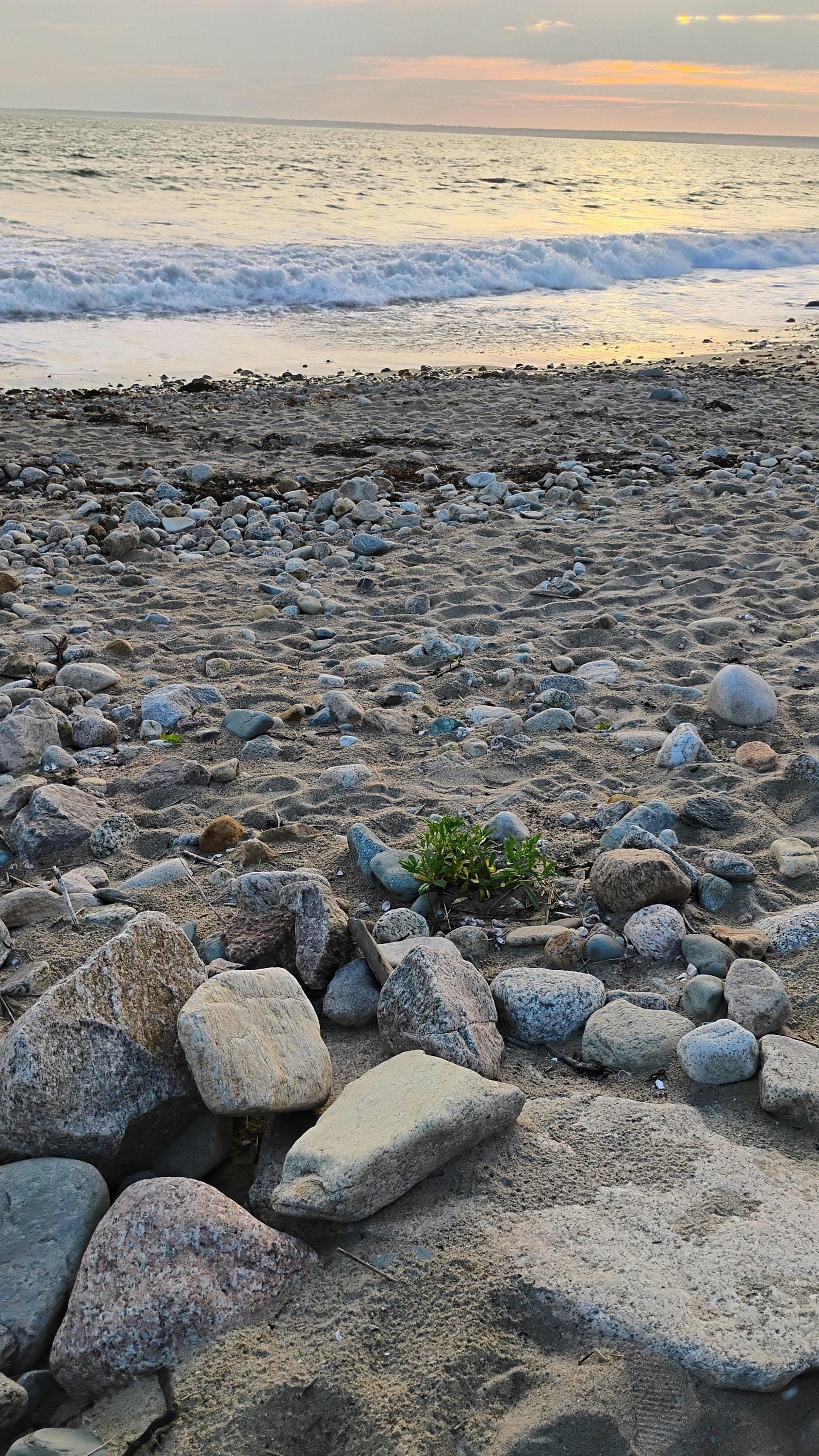 Emotional Support Rock, Frog Hand Painted Rock With Quote, Warrior Frog ...