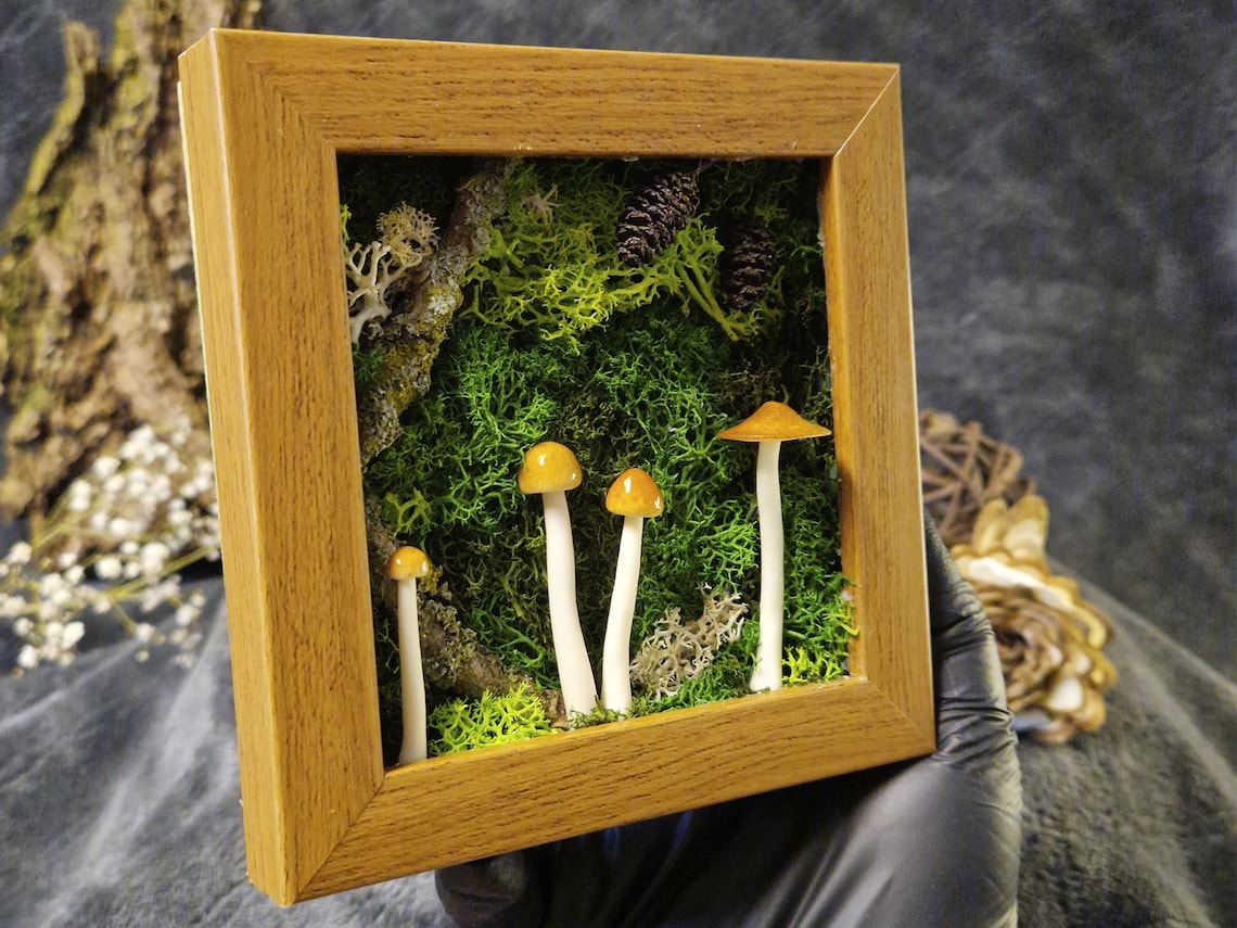 Forest Miniature in a Frame, Decorative Panel With Mushrooms, Moss and ...