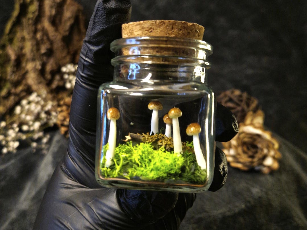 Miniature Forest in a Bottle, Glass Florarium With Mushrooms and Moss ...