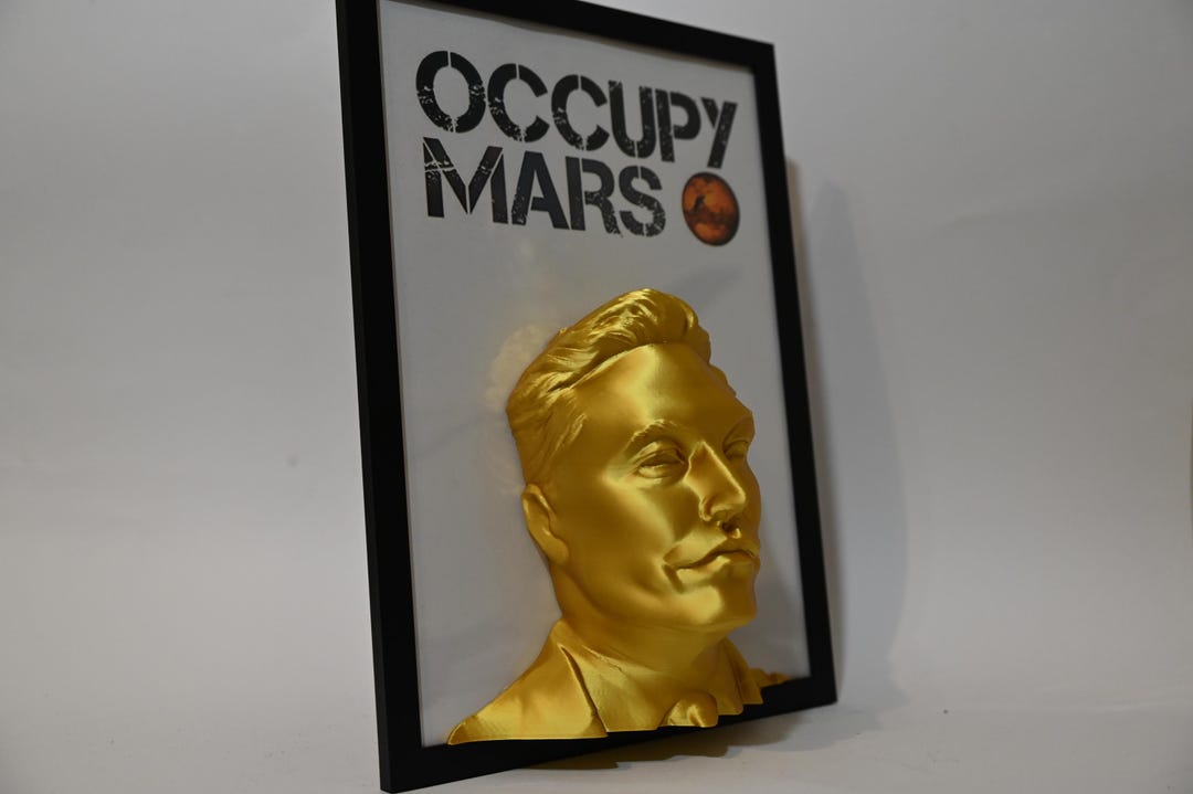 OCCUPY MARS – 3D Printed Elon Musk Bust in Frame - Etsy