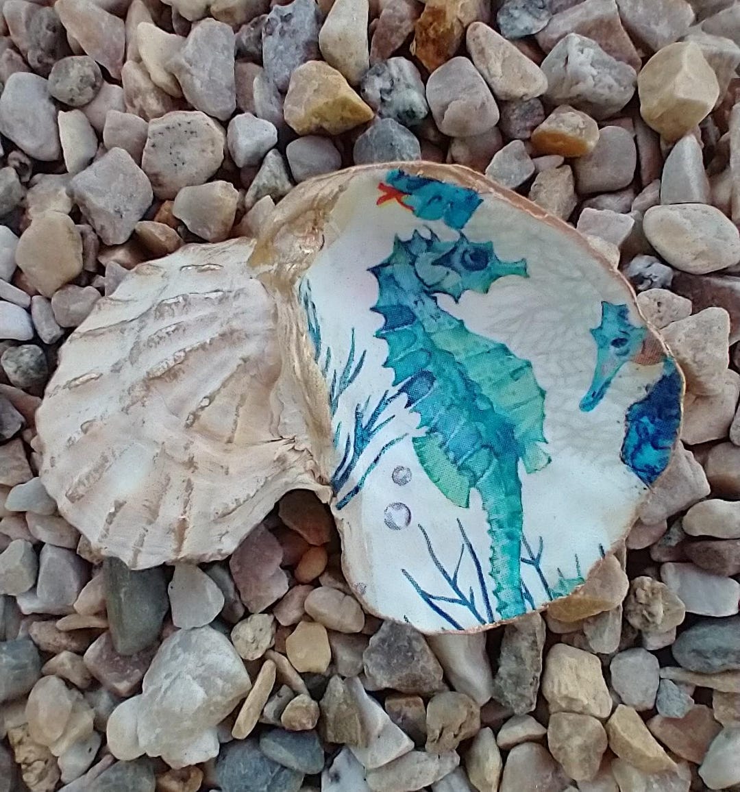 Double Gilded Seahorse Oyster Shell - Etsy