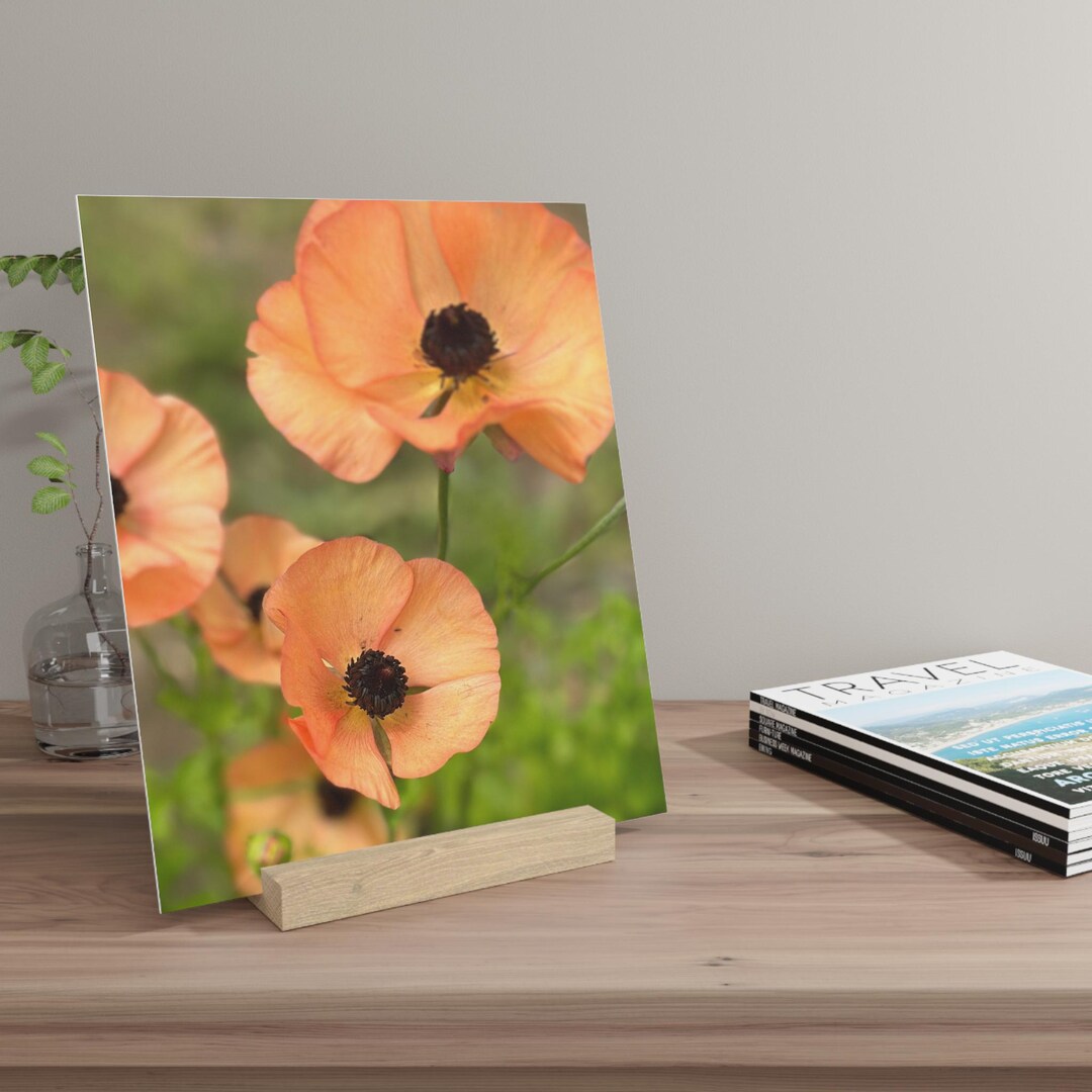 Elegant Flower Gallery Board With Stand, Art Display, Home Decor ...