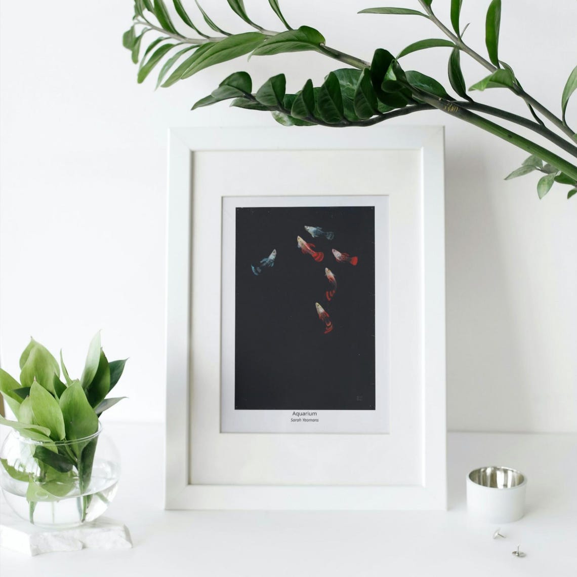 LIMITED EDITION PRINT Guppy Fish (print of Original Oil Painting) - Etsy