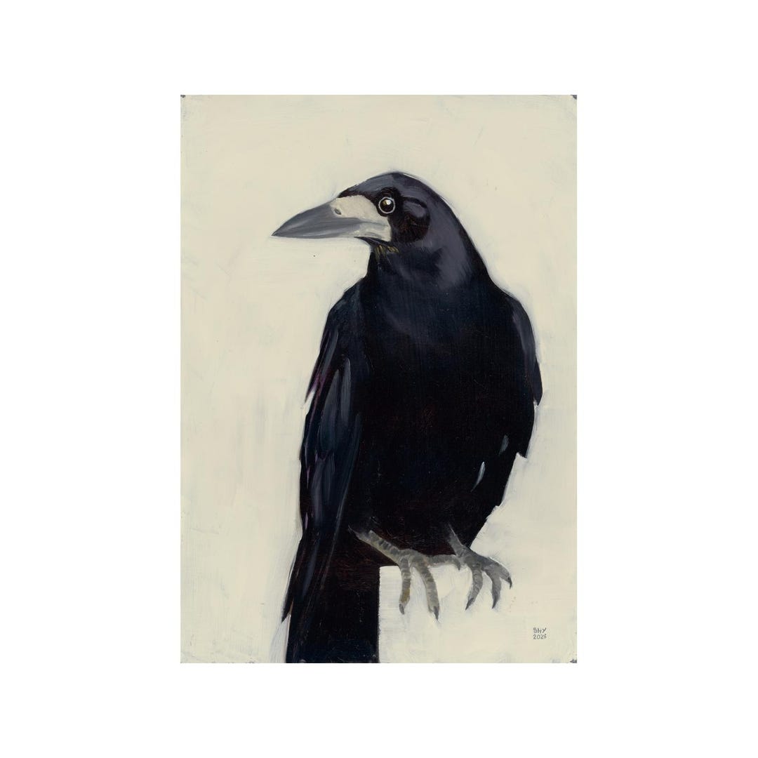 ORIGINAL OIL PAINTING A Dandy Rook - Etsy