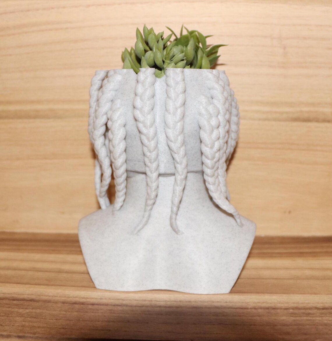 Travis Scott Succulent Planter Pot, Unique Celebrity Face Plant Holder ...