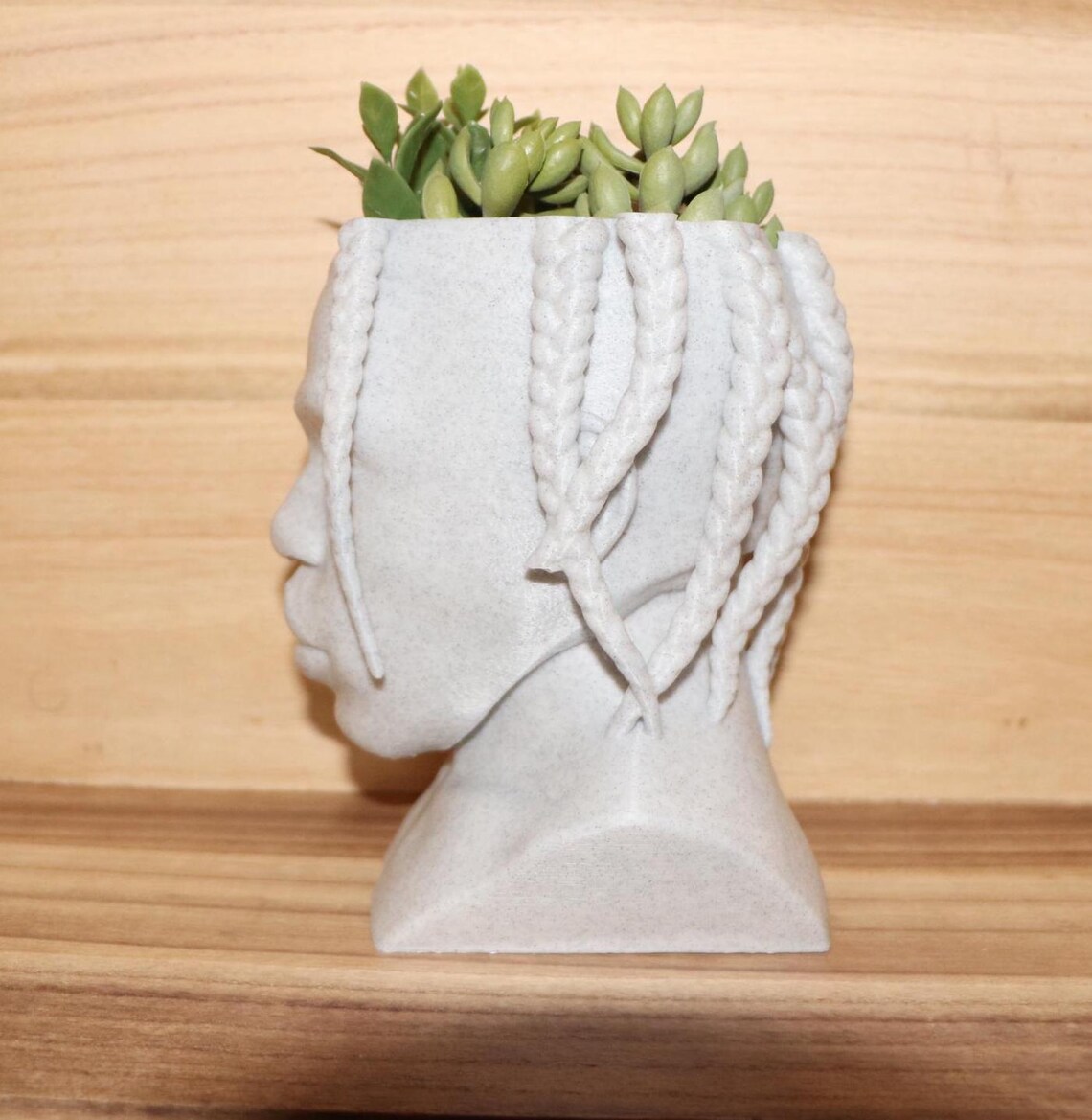 Travis Scott Succulent Planter Pot, Unique Celebrity Face Plant Holder ...