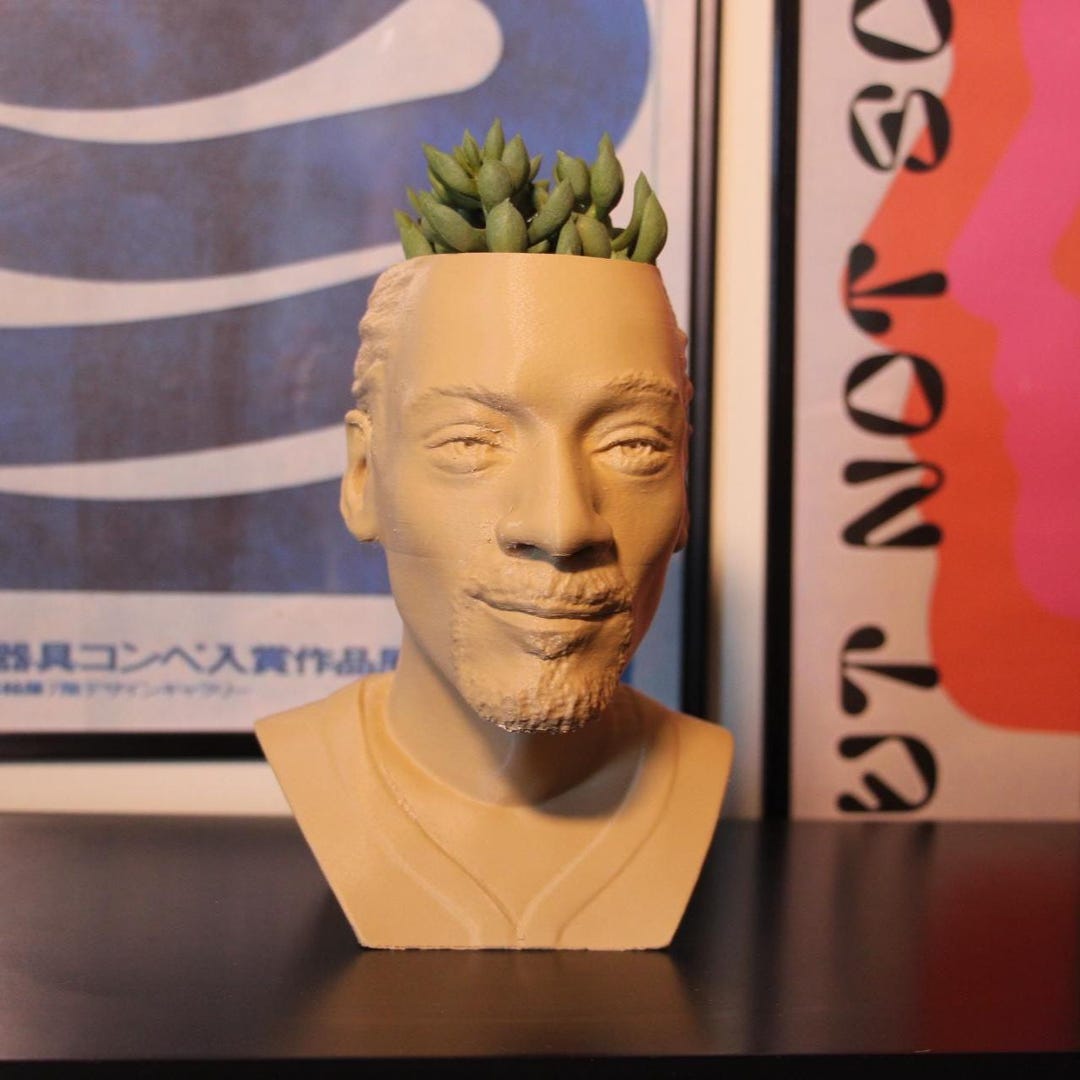 Snoop Dogg Succulent Planter Pot, Unique Celebrity Face Plant Holder ...