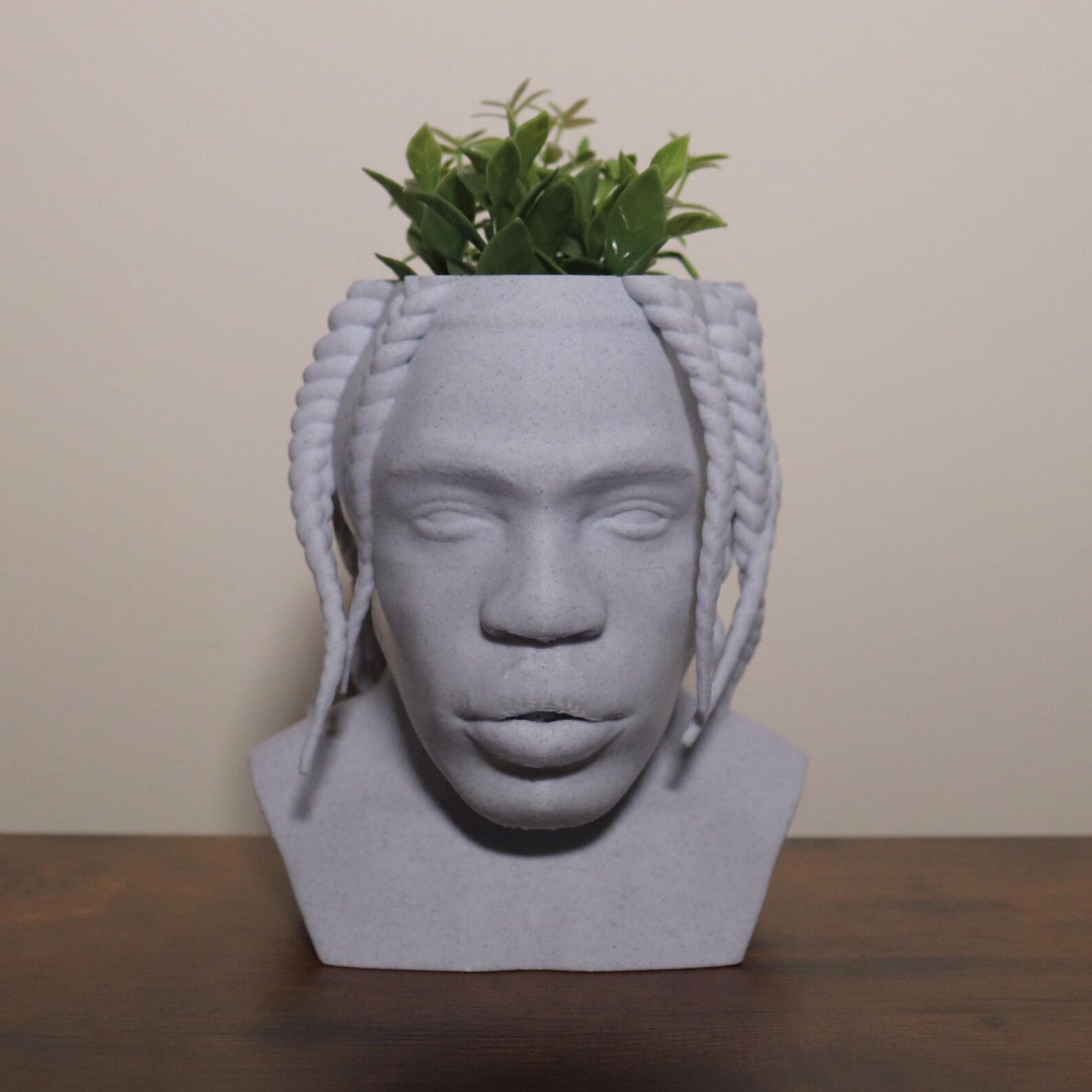 Travis Scott Succulent Planter Pot, Unique Celebrity Face Plant Holder ...