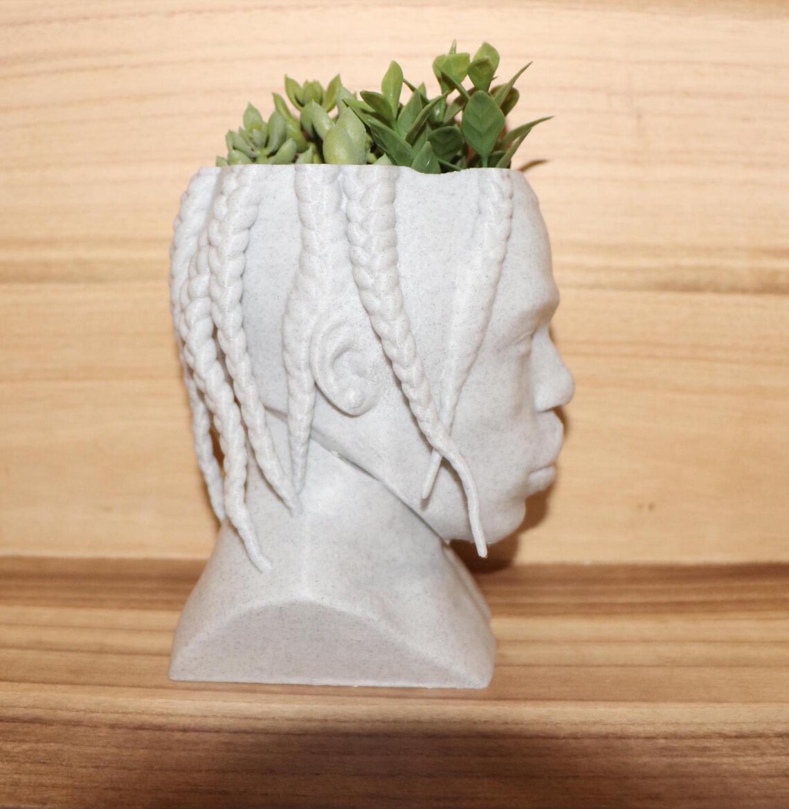Travis Scott Succulent Planter Pot, Unique Celebrity Face Plant Holder ...