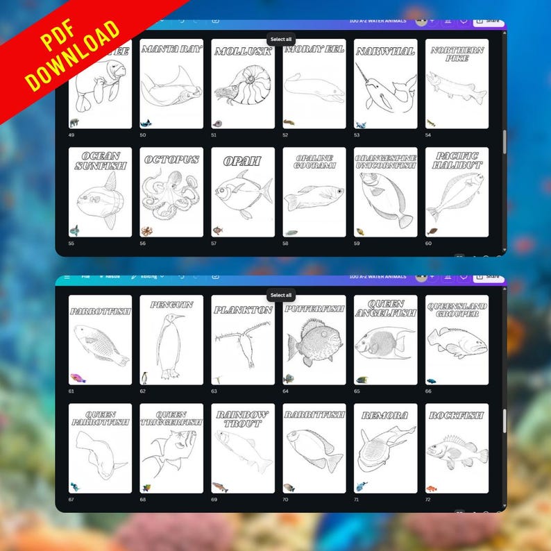 100 A–Z Water Animals Alphabet Printable | Aquatic Creatures Flashcards ...