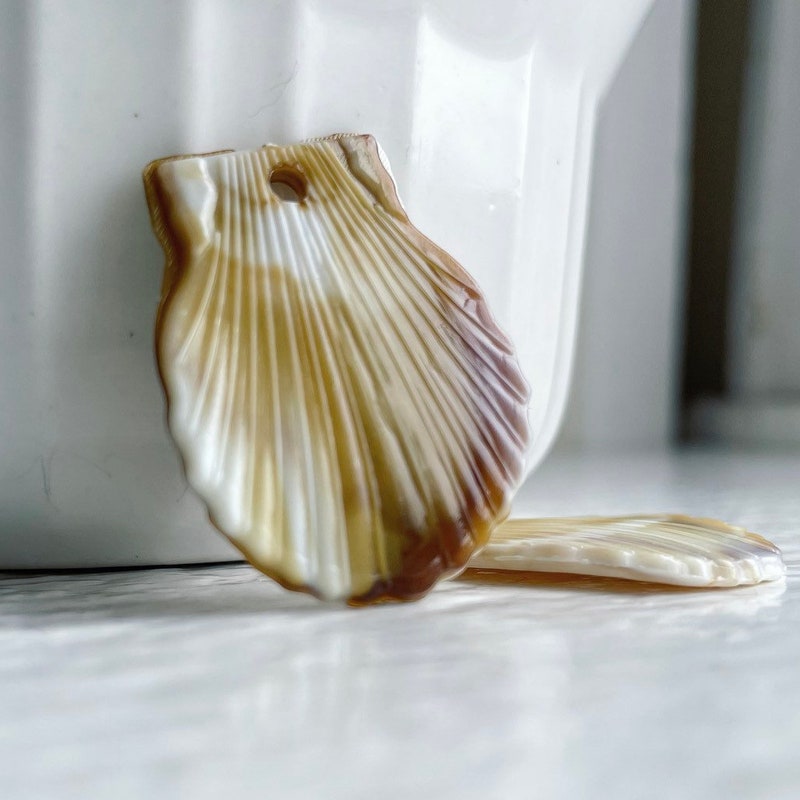 Scallop Shells and Resin - Etsy