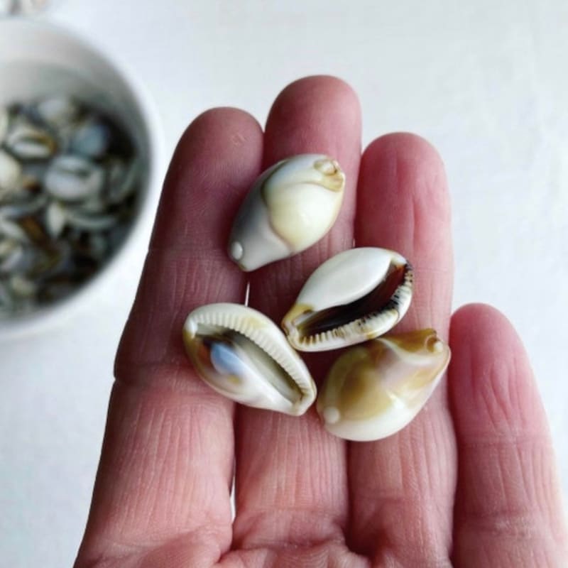 Beads Shells - Etsy