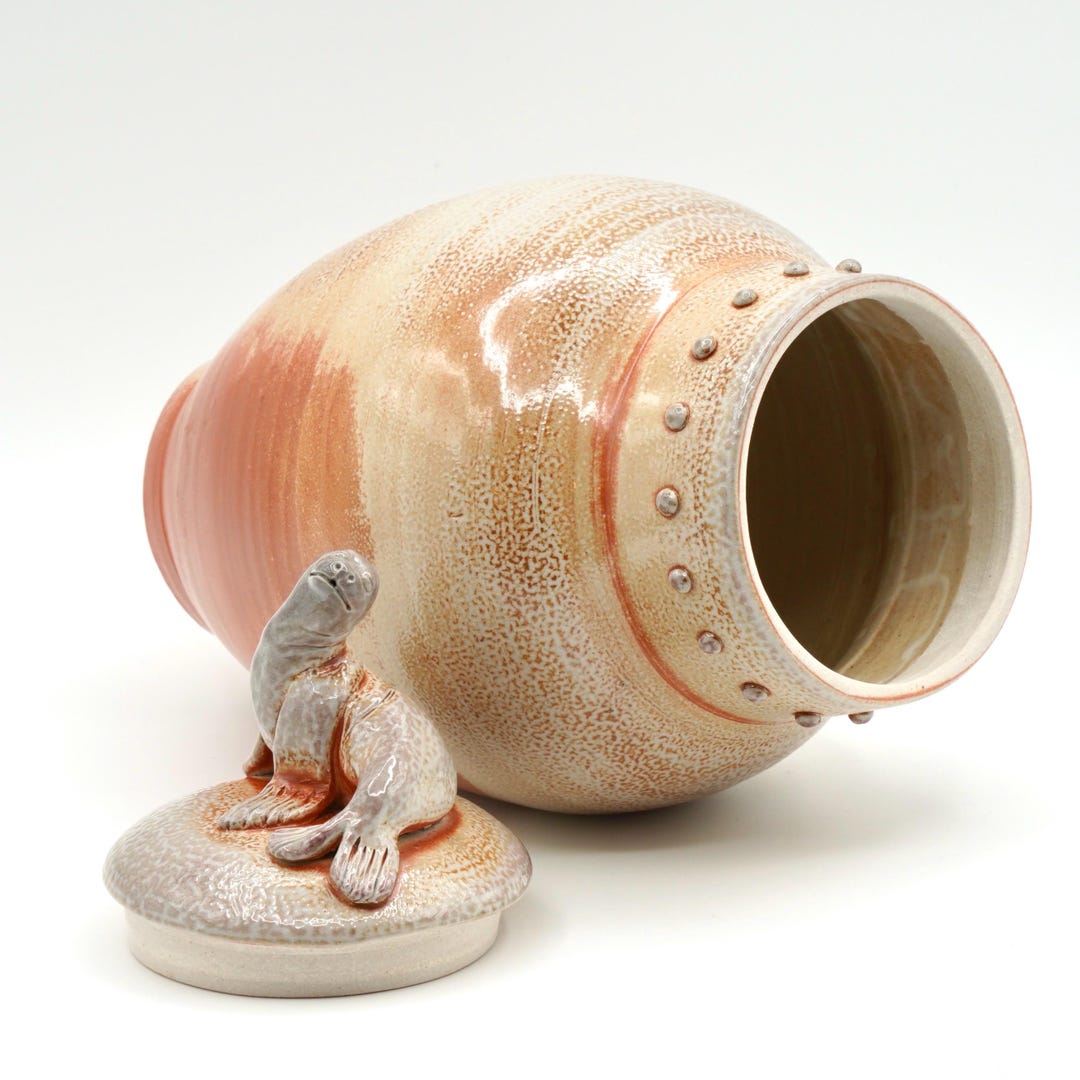 California Sea Lion Jar, Handmade, Soda Fired - Etsy