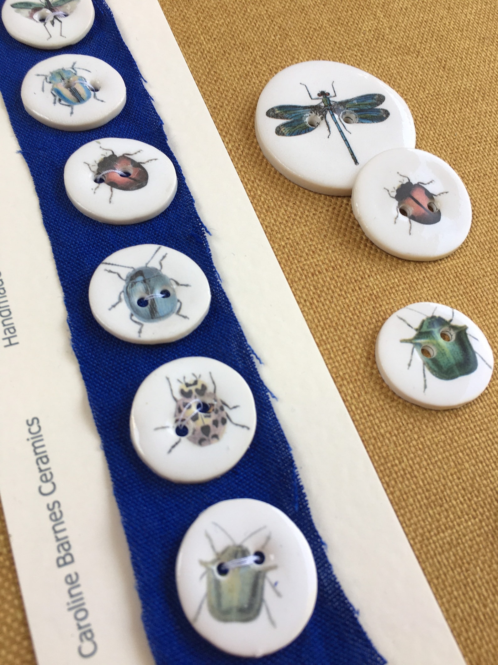 Set of 6 Porcelain Bug Buttons - Etsy