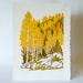 Aspen Tree Blank Note Card Set Thinking of You Card Pack - Etsy