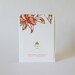 Assorted Flower Art Note Card Set Botanical Greeting Card Set - Etsy
