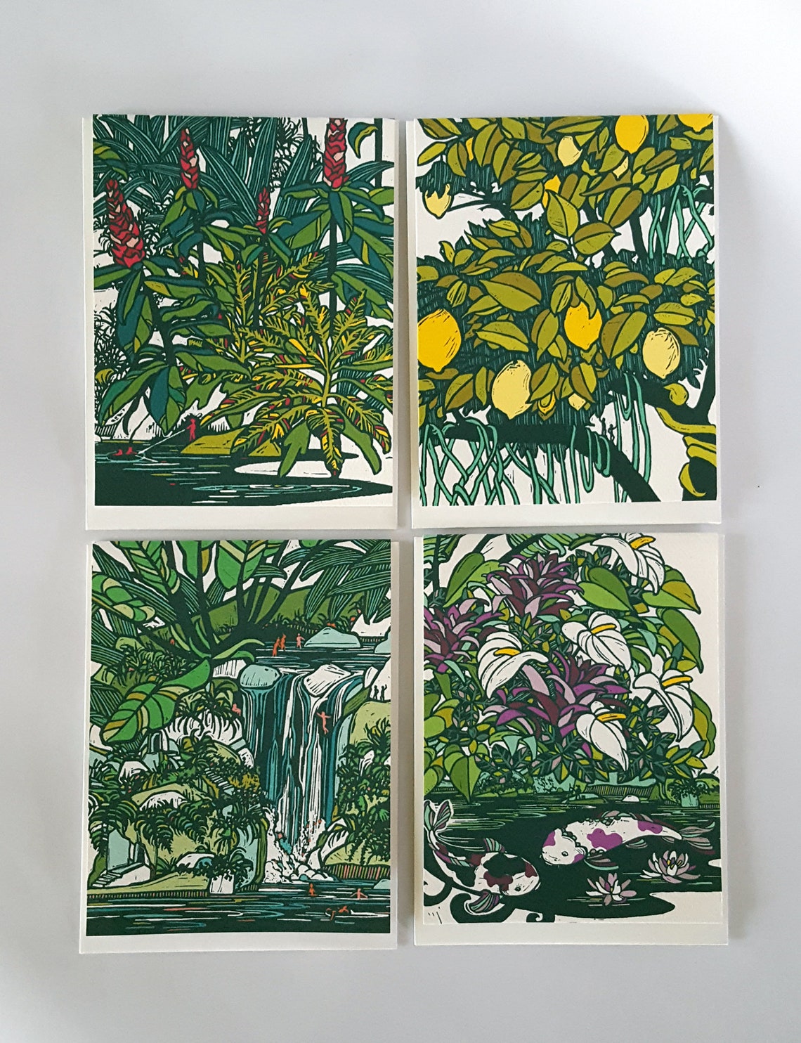 Leap of Faith Blank Notecard Tropical Good Luck Greeting - Etsy