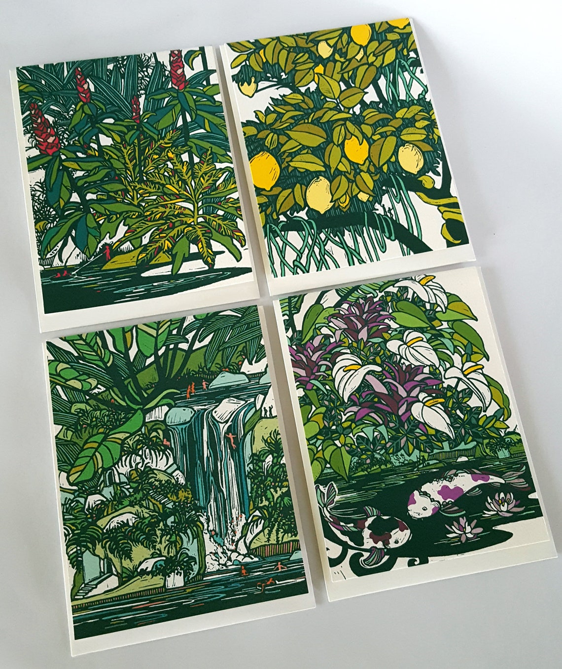 Leap of Faith Blank Notecard Tropical Good Luck Greeting - Etsy